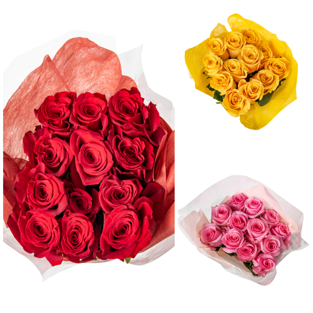 12 Dozen Assorted-Color Rose Wraps - Wholesale Carnations | Bulk ...