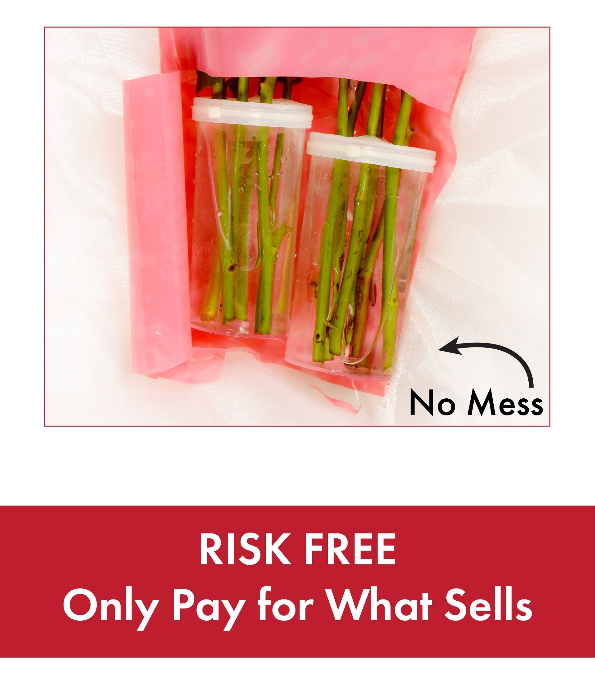 Rotating Roses - Wholesale Carnations | Bulk Carnations, Roses ...